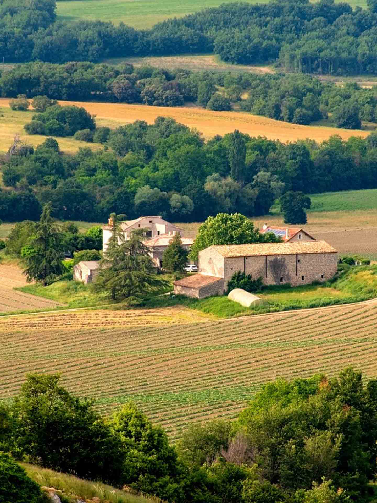 PROVANSA – Teos Travel